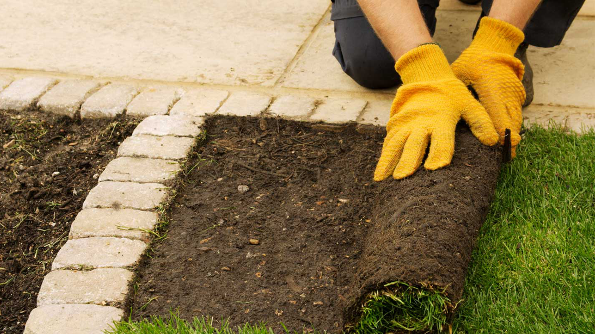 Turfing & Seeding Services Sheffield - Scape Easy Sheffield Landscapers